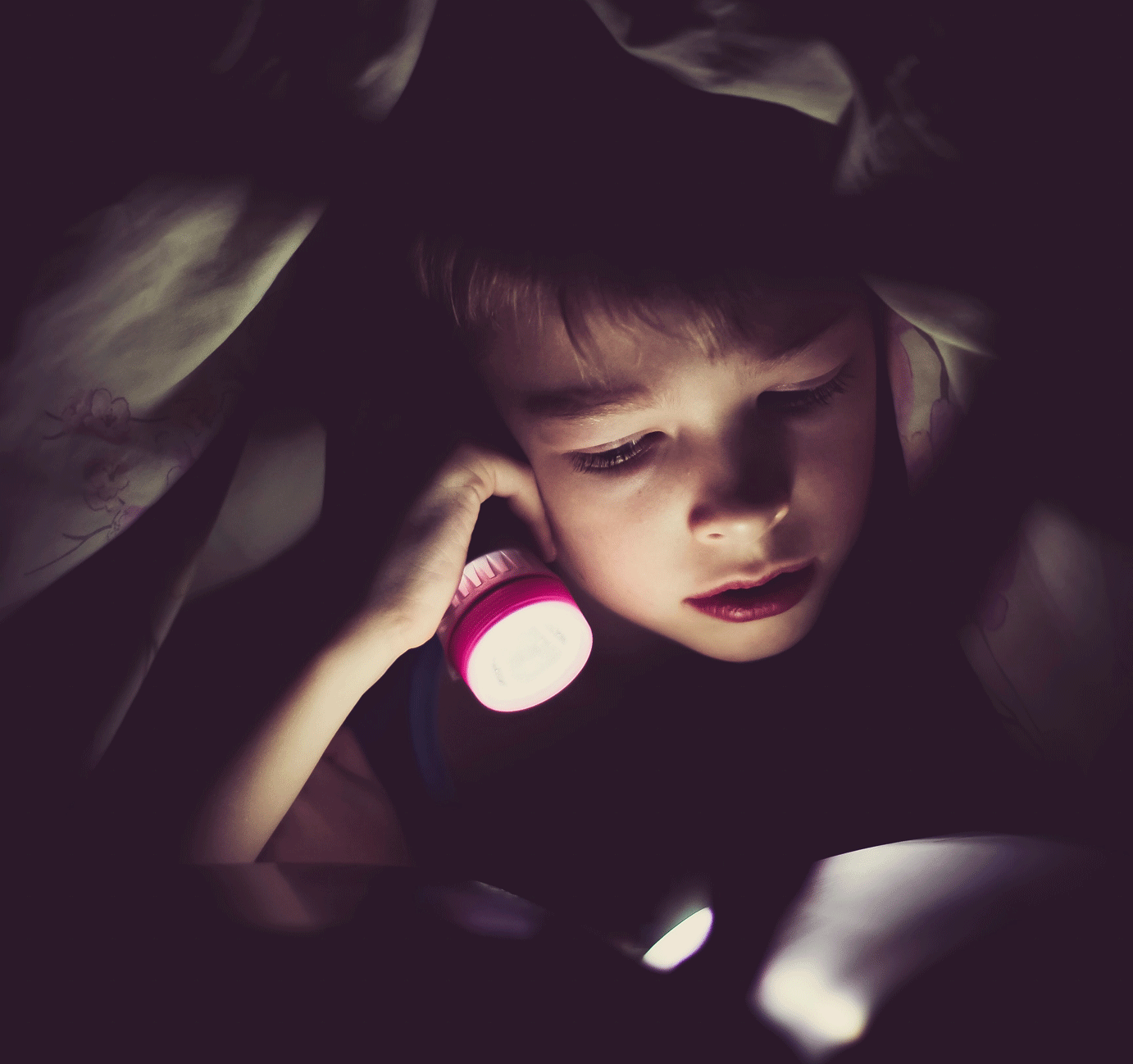 Amanda Lundin's Instagram, Twitter & Facebook on IDCrawl